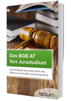 Wegfall/Störung der Geschäftsgrundlage, § 313 BGB