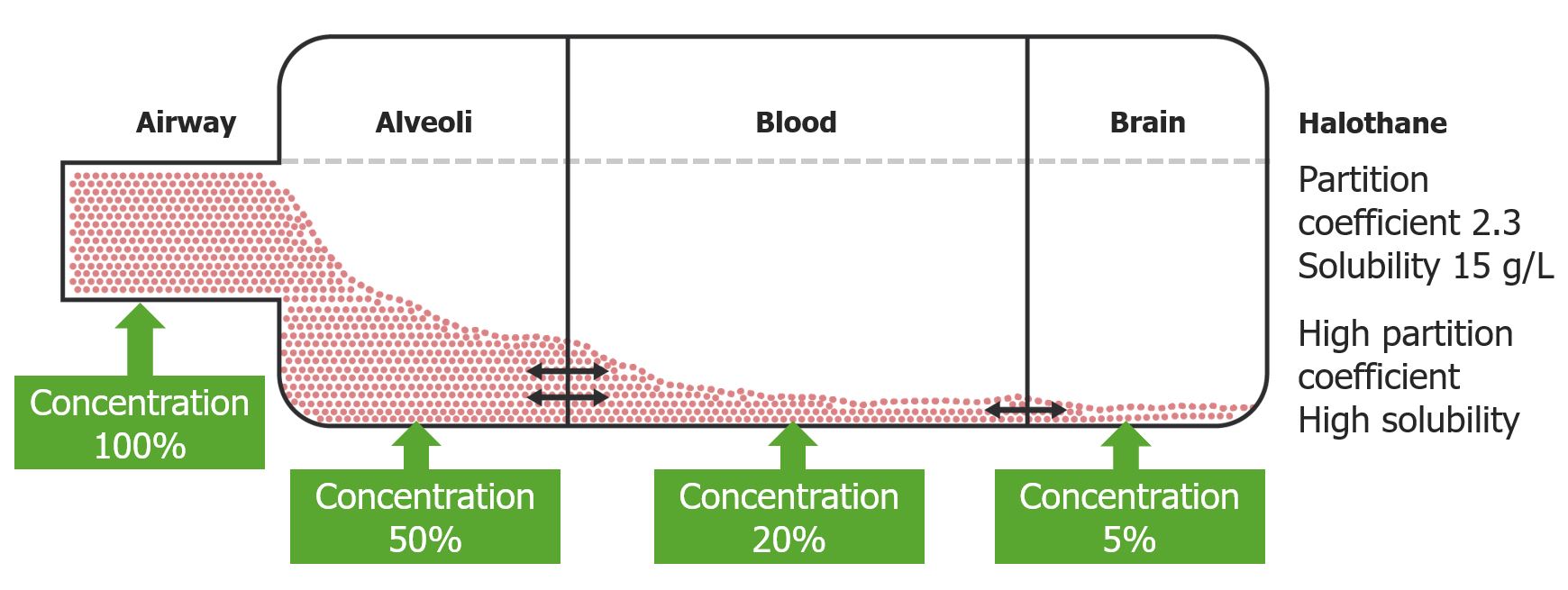 Inhalationsanästhetika: Wirkung und Indikationen | Lecturio
