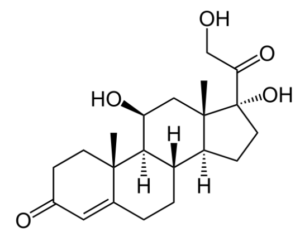 Fludrocortison (Mineralocorticoid): Überblick | Lecturio
