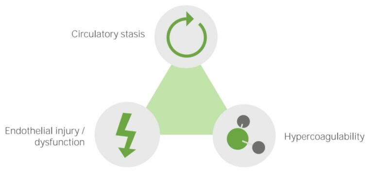 Lungenarterienembolie (LAE) - E-Learning mit Lecturio