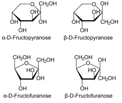 Fructosestoffwechsel - E-Learning mit Lecturio
